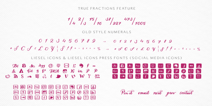 Download Liesel™ Fonts by Magpie Paper Works