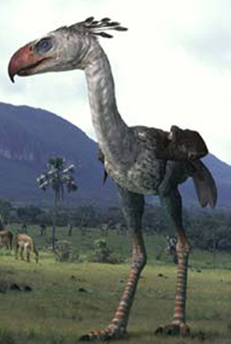 Lost Continent Library: Giant Birds