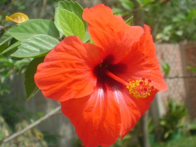 Ciencia Activa y Recreativa: Experimentos con lupas