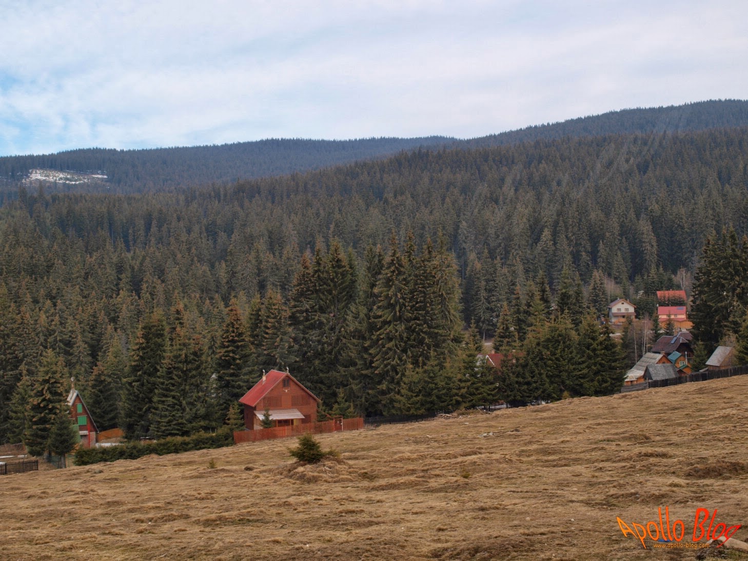 Apollo Blog: Pasul Bucin