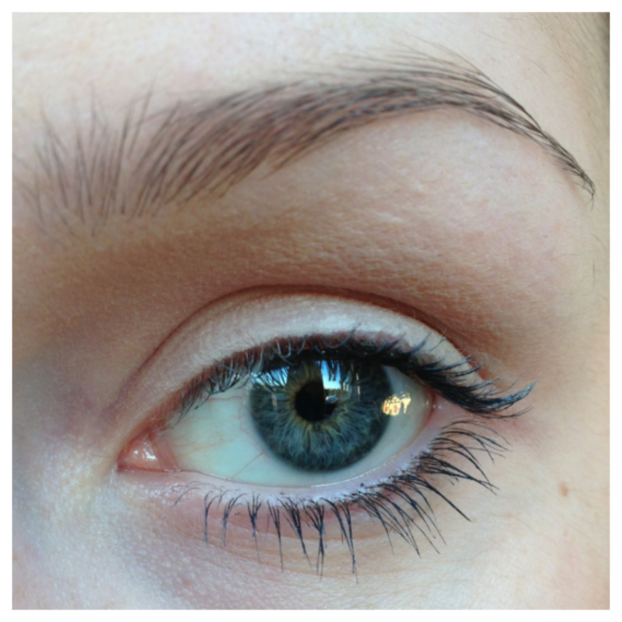 Shannon Bowes: Eyebrow Tutorial (How I Fill In My Eyebrows)