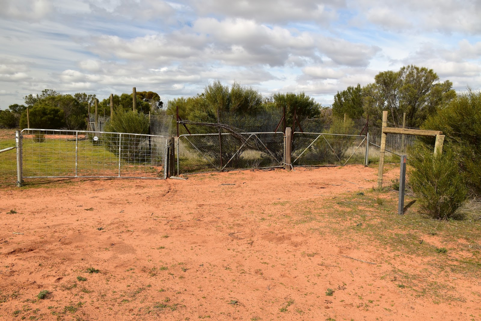 Goin' Feral One Day At A Time: Warepil Lookout Circuit, Hattah-Kulkyne ...