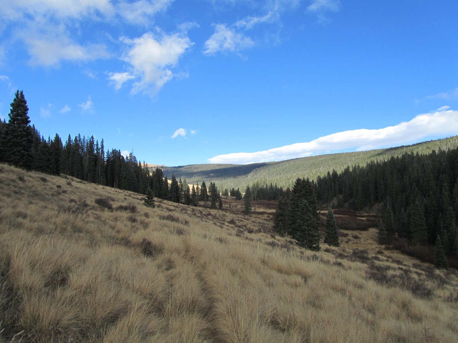 Tomcat's Outdoor Adventures: Backpacking New Mexico's Pecos Wilderness