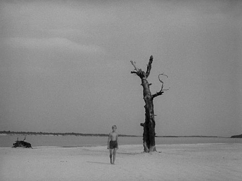 El cine de Solaris: Plácidas pausas de rodaje: Clint y Clyde (Clint ...