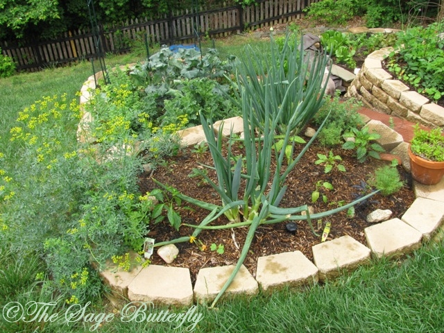 The Sage Butterfly: How We Built Our Tiered Raised Bed Vegetable Garden ...