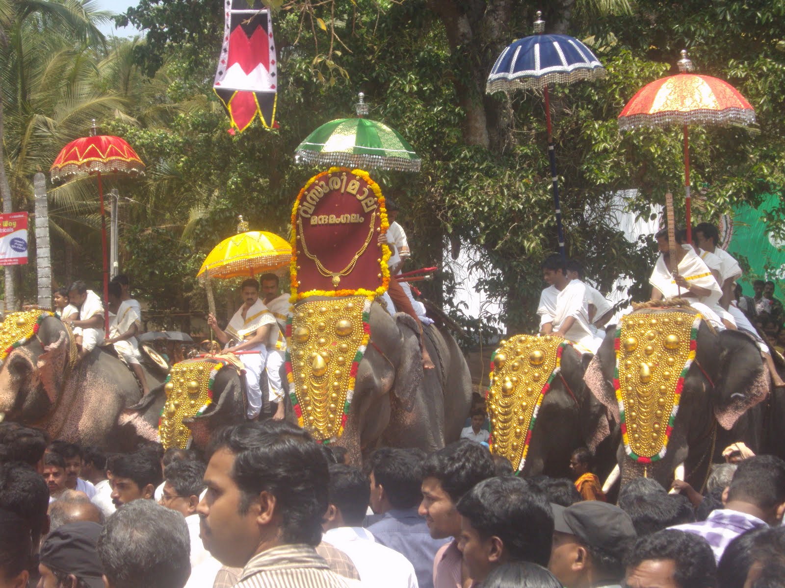 B N Suresh: KOLLAM SRI PISHARIKAVU TEMPLE FESTIVAL