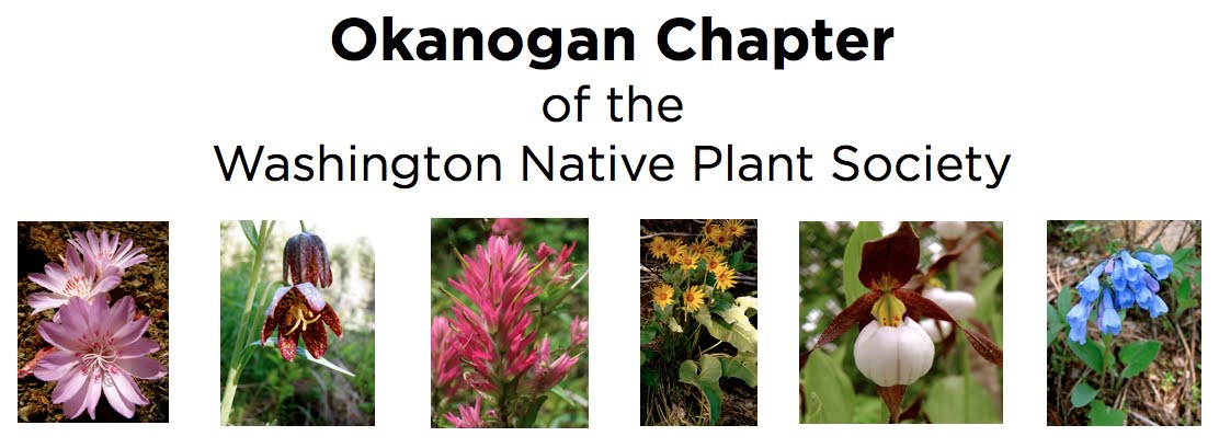 Okanogan Native Plants