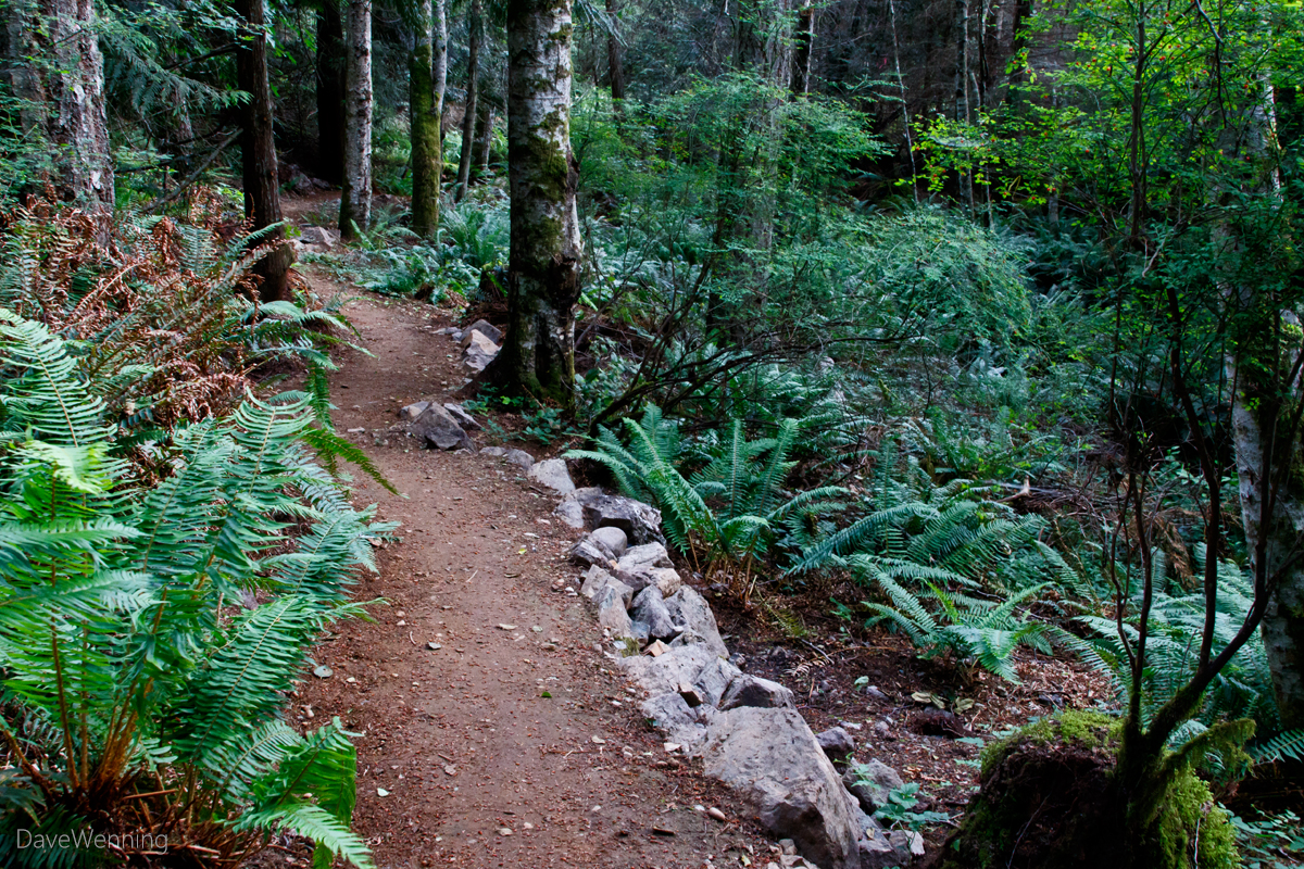 The John Tursi Trail