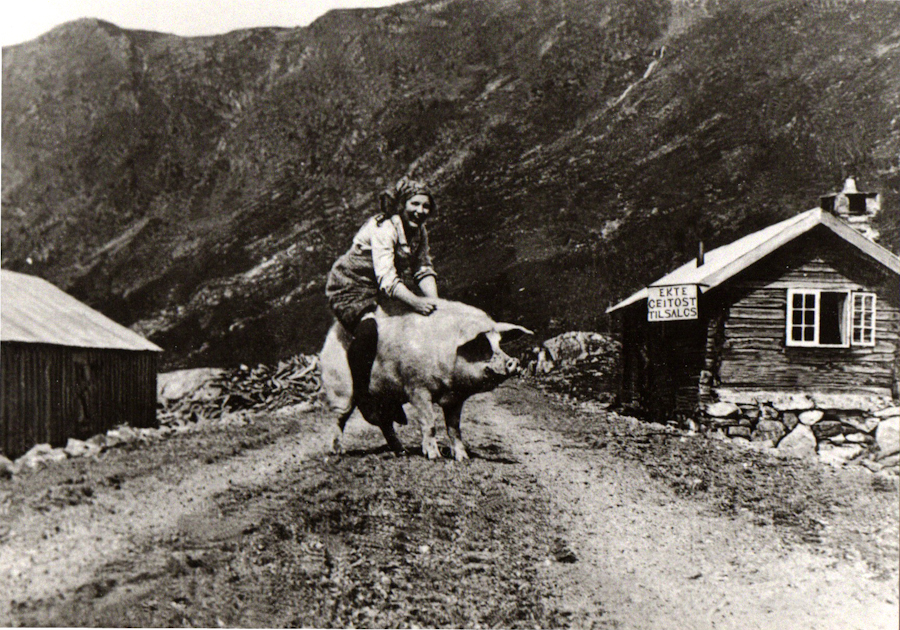 websit: Weird Postcards