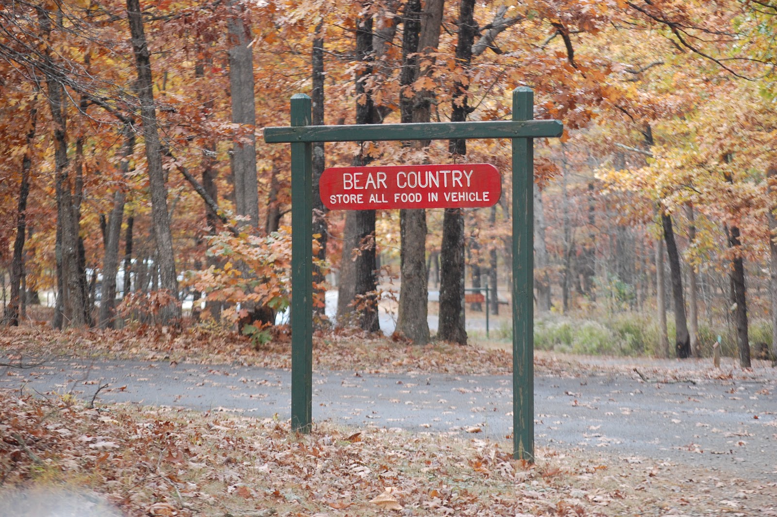 Hendrix Heartland Adventures: Cameron Bluff Campground
