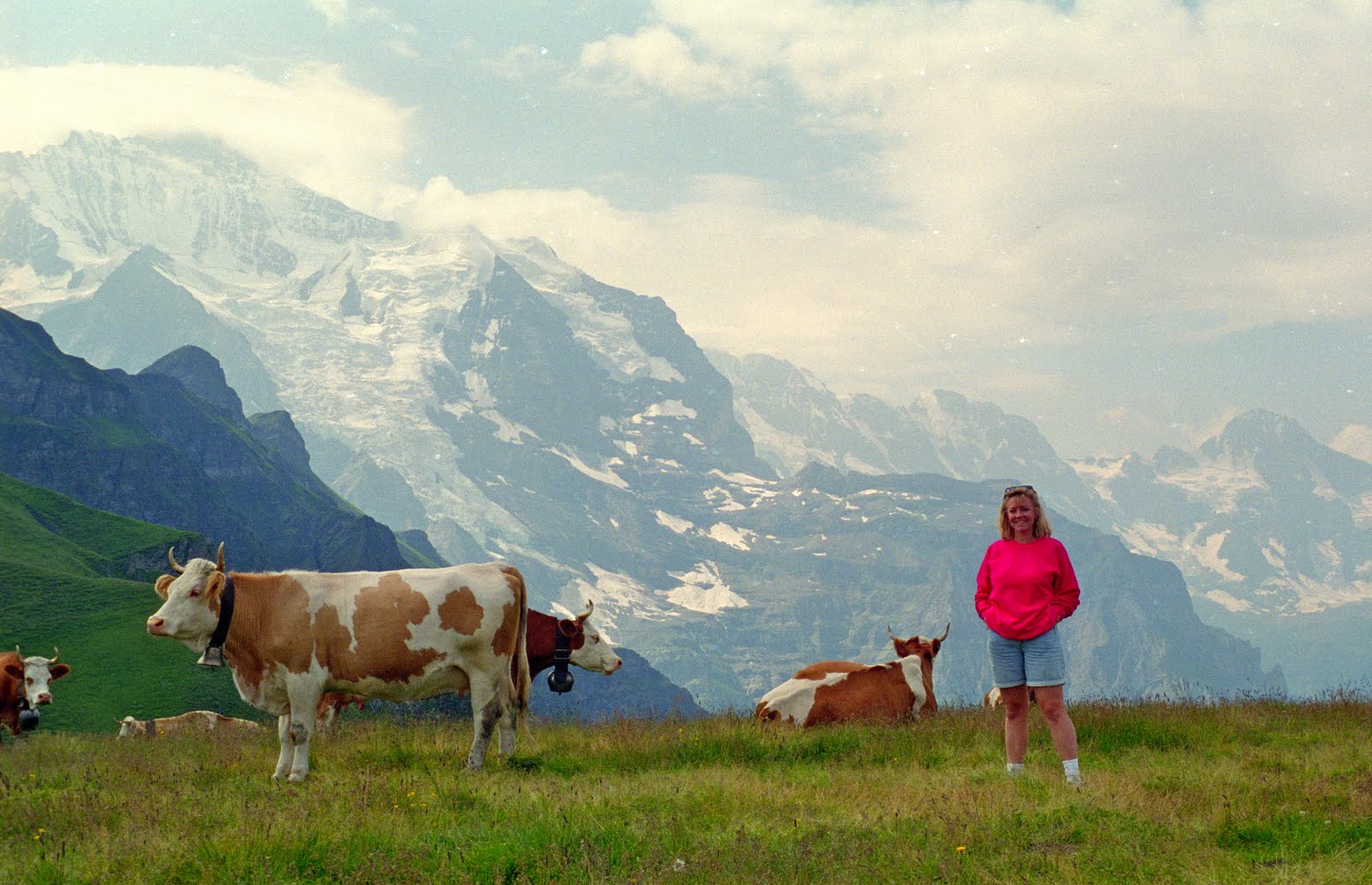 To Europe With Kids: Photo Friday: I Love Alpine Cows