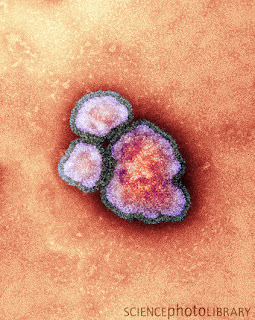 Rule of 6ix: June 2011