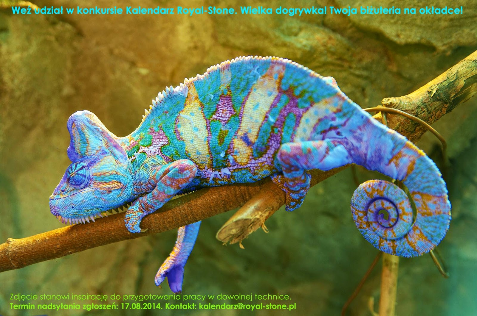 Mosca: Chenoa - naszyjnik i kolczyki (haft koralikowy). KAMELEON