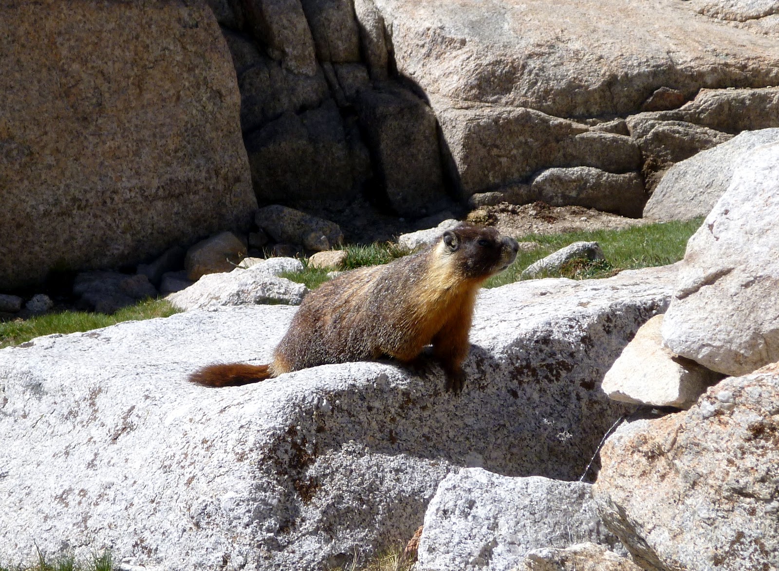 Jill Outside: Mount Whitney
