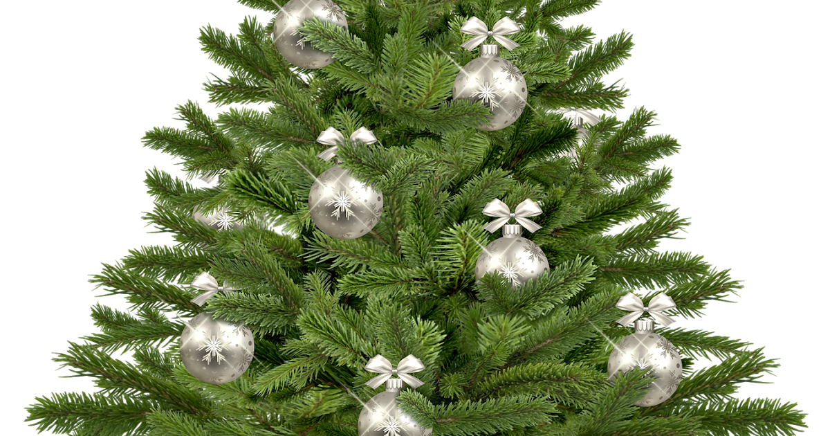 CO-Horts: When the Festivities are Over...