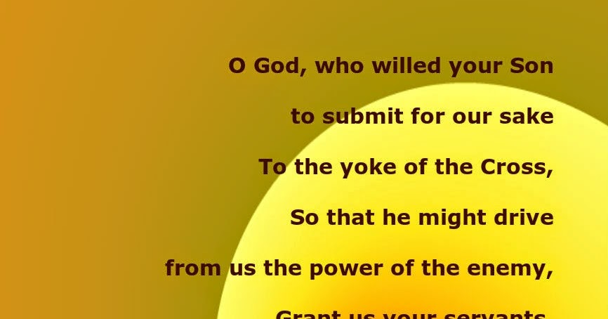 Daily Homilies: Wednesday of Holy Week