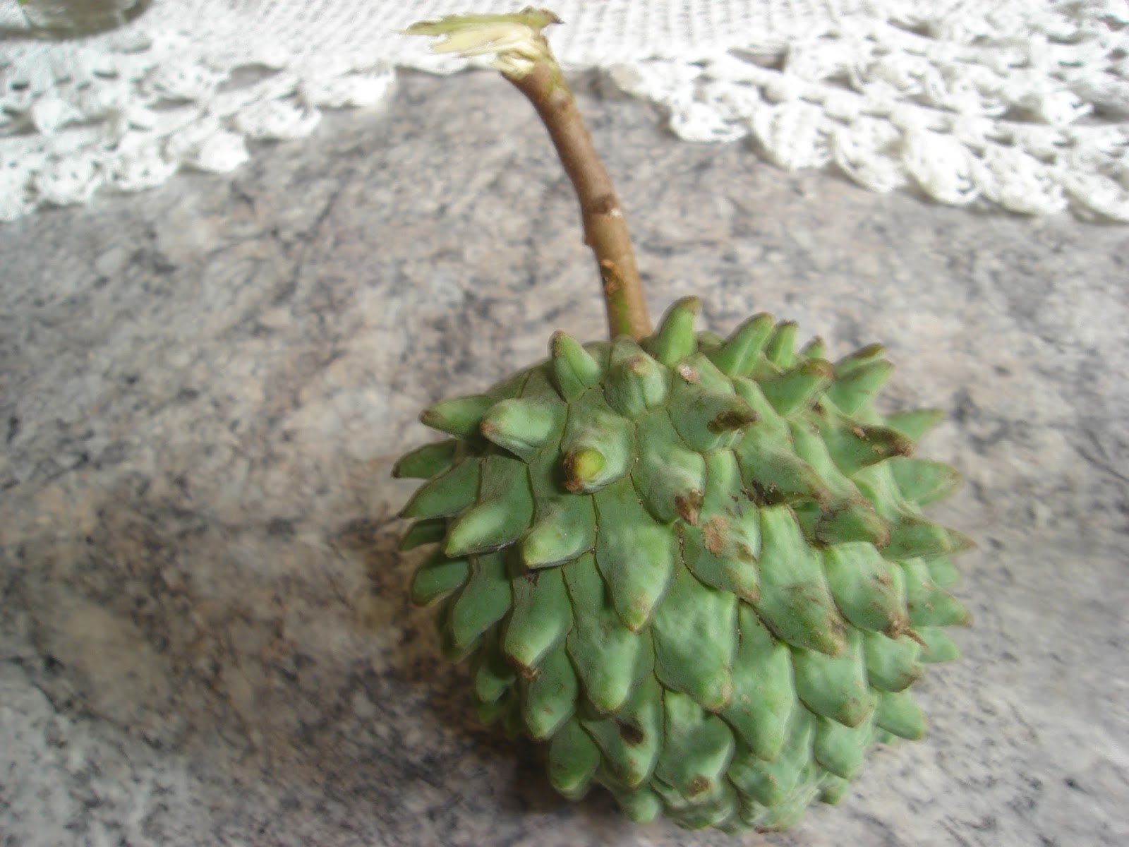 Planeta e Vida: Ata...não ata é a fruta doo conde