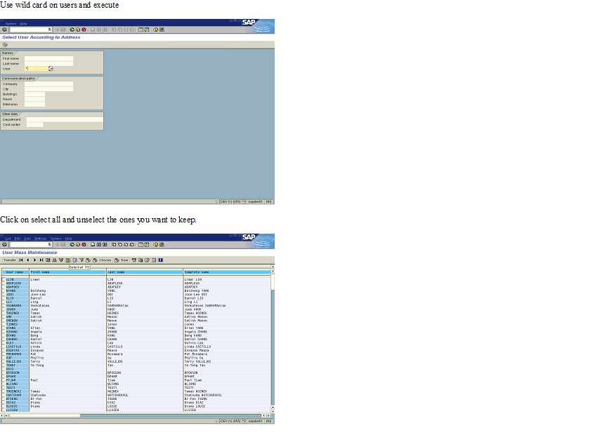 key2sap: Mass User Administration(SU10)