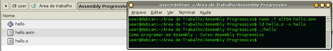 Como criar object files (código objeto) e linkar arquivos em Assembly ...