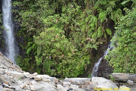 COROICO CENTRO TURISTICO DE BOLIVIA