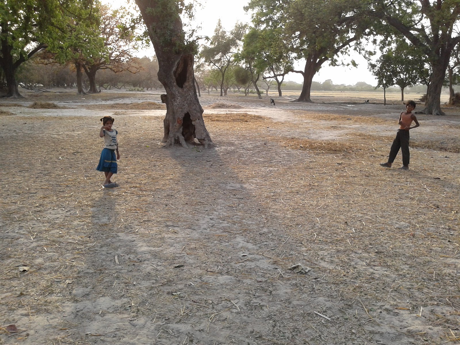 Wirasat - Pargana Chail- Allahabad: June 2012