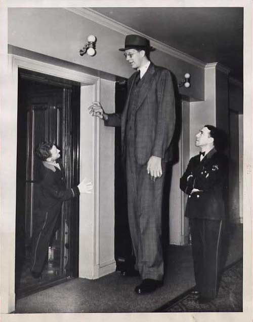 The Tallest Man On Earth
