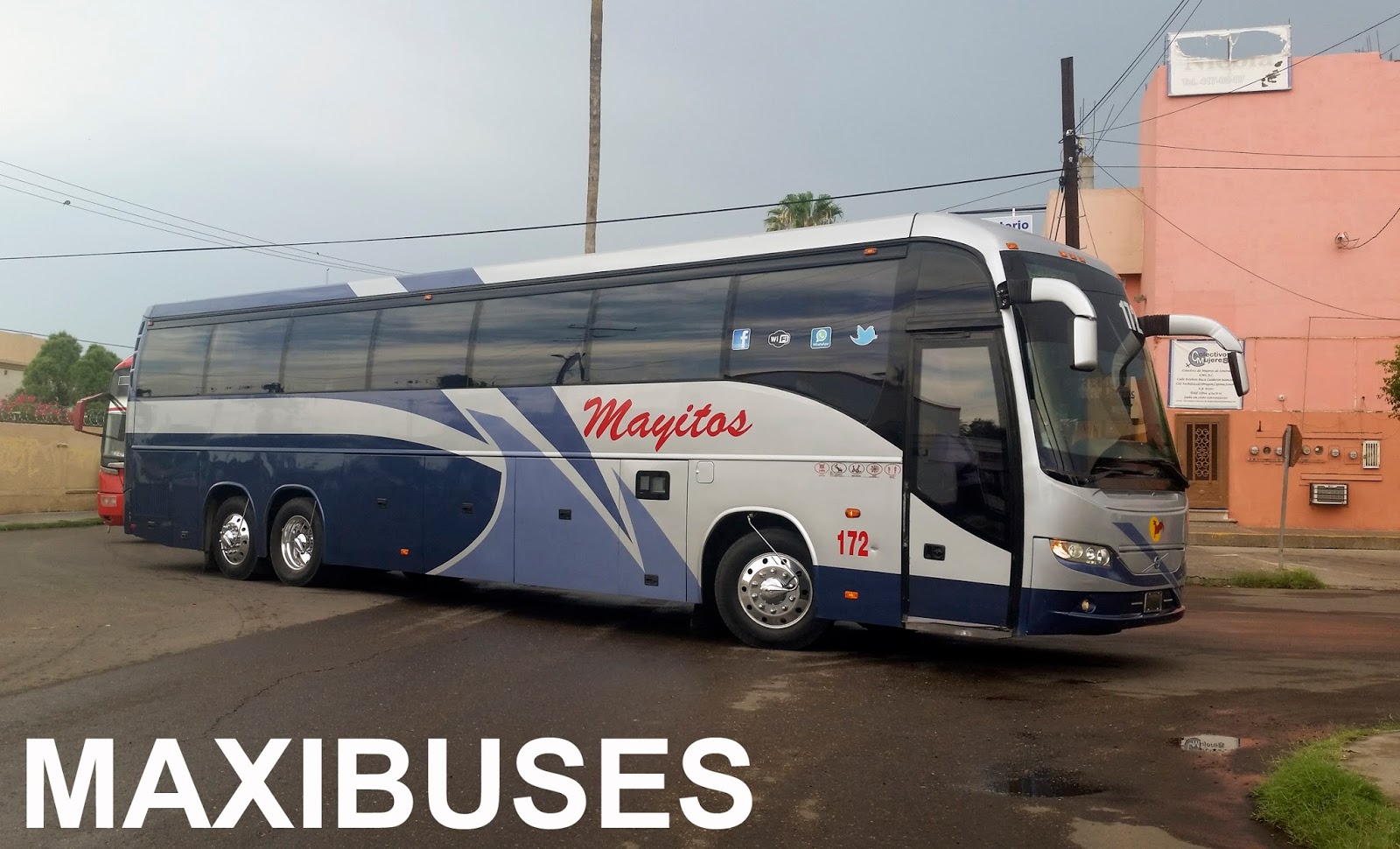 MAXIBUSES: AUTOBUSES LOS MAYITOS