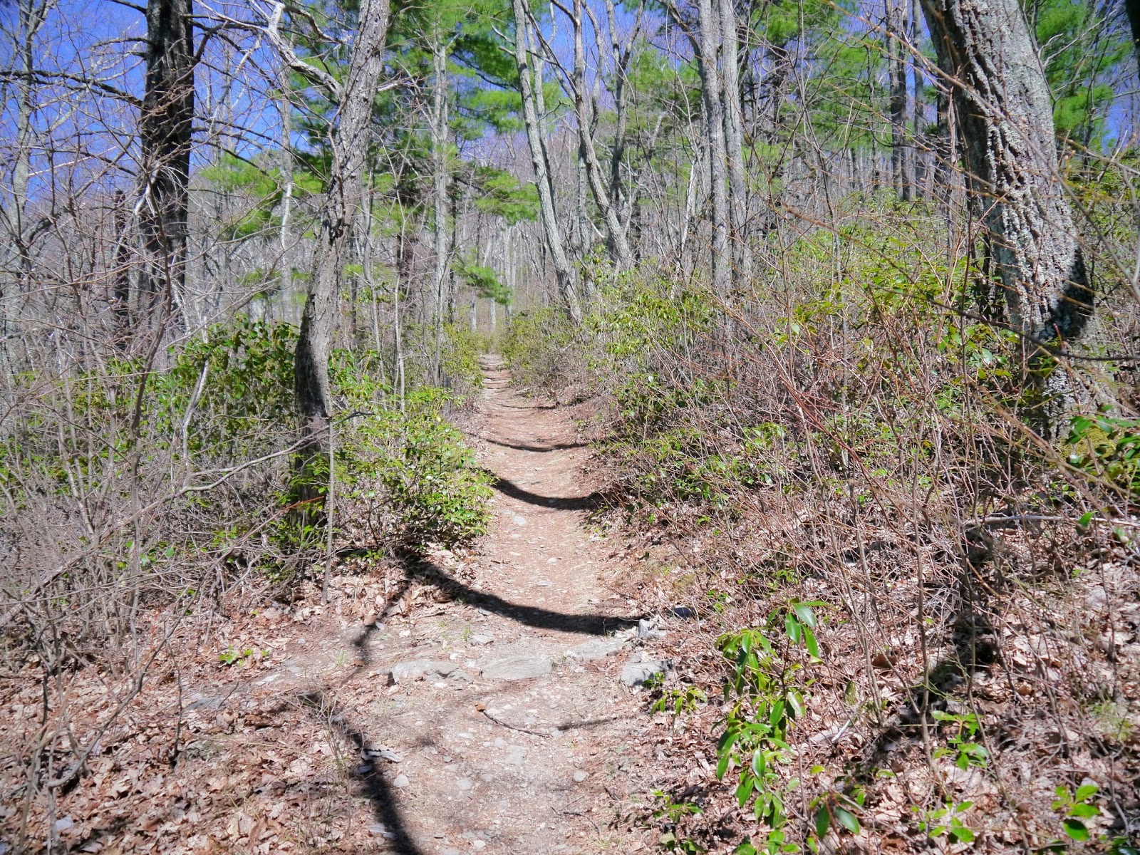 American Travel Journal: Wildcat Ridge Trailhead to Riprap Trailhead ...