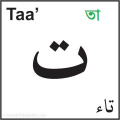 Easy Arabic Alphabet Letters learning for the Quran reading