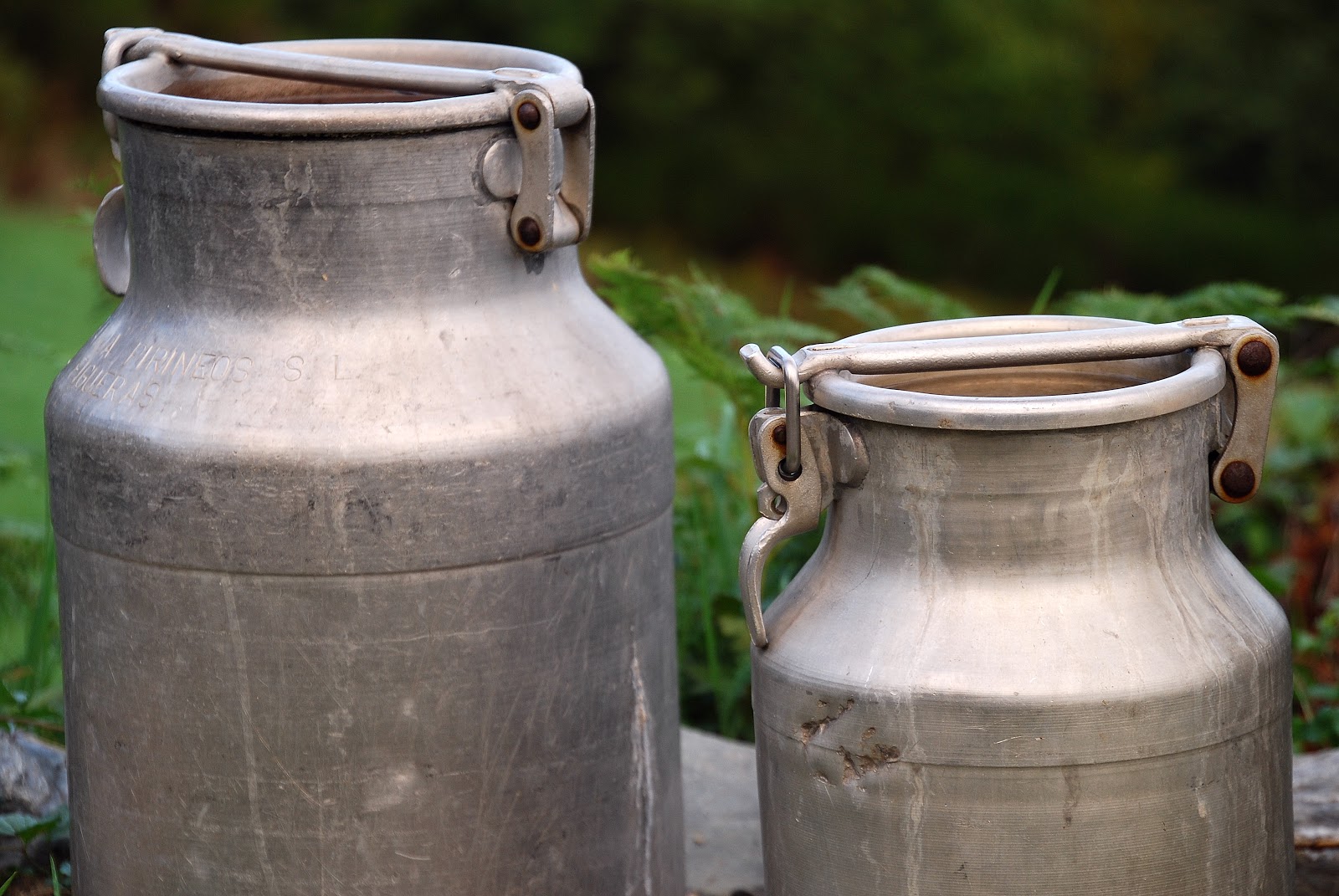 Vistas desde mi objetivo: El cuento de la lechera