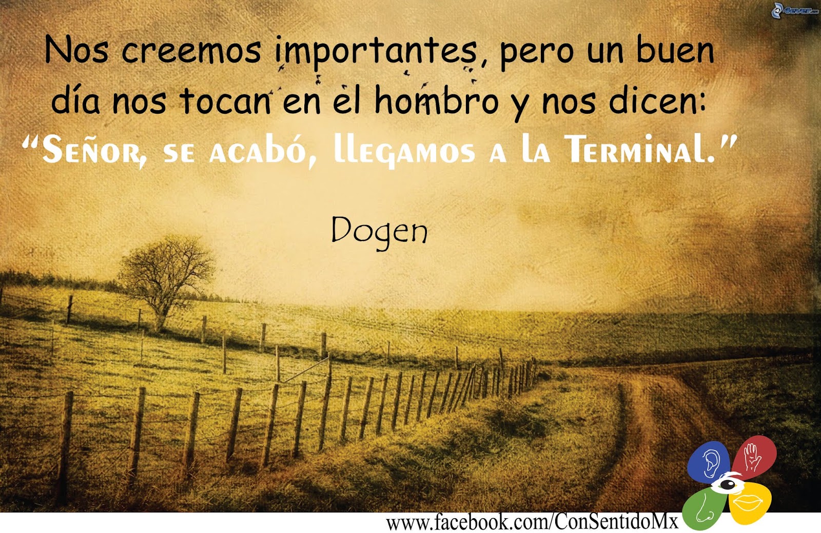 conSentido: EL REY DE LOS MONOS