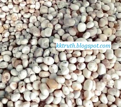 Thoughts unlimited - मन की उड़ान !: Rugra, (रुगड़ा), Phutka, Puttu - A ...