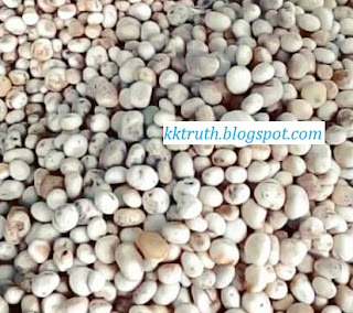 Thoughts unlimited - मन की उड़ान !: Rugra, (रुगड़ा), Phutka, Puttu - A ...