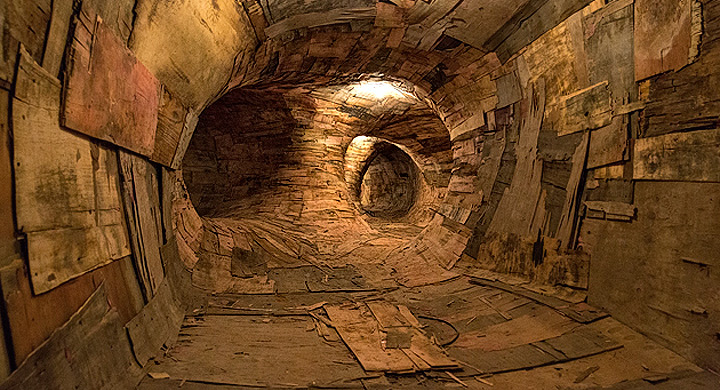 El Mundo Revelado : El viaje interior