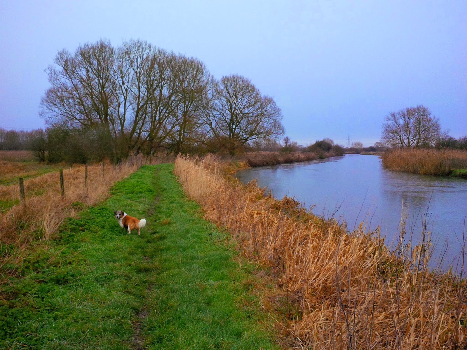 justthoughtsnstuff: boxing day walk, pint at the morris