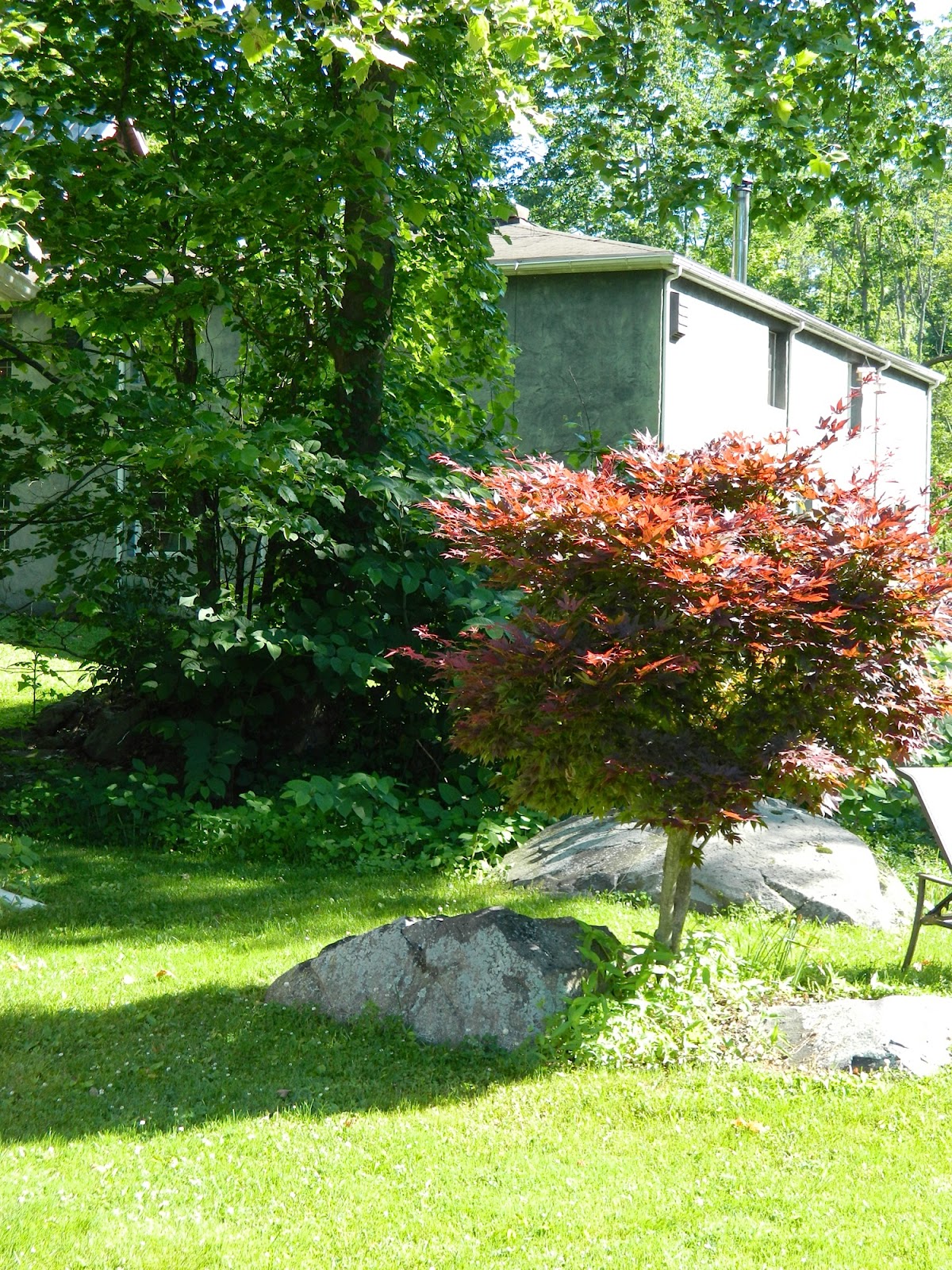 Paint Dance: "Red Maple at Vixen Hill Farm", 9x12, oil on board ...