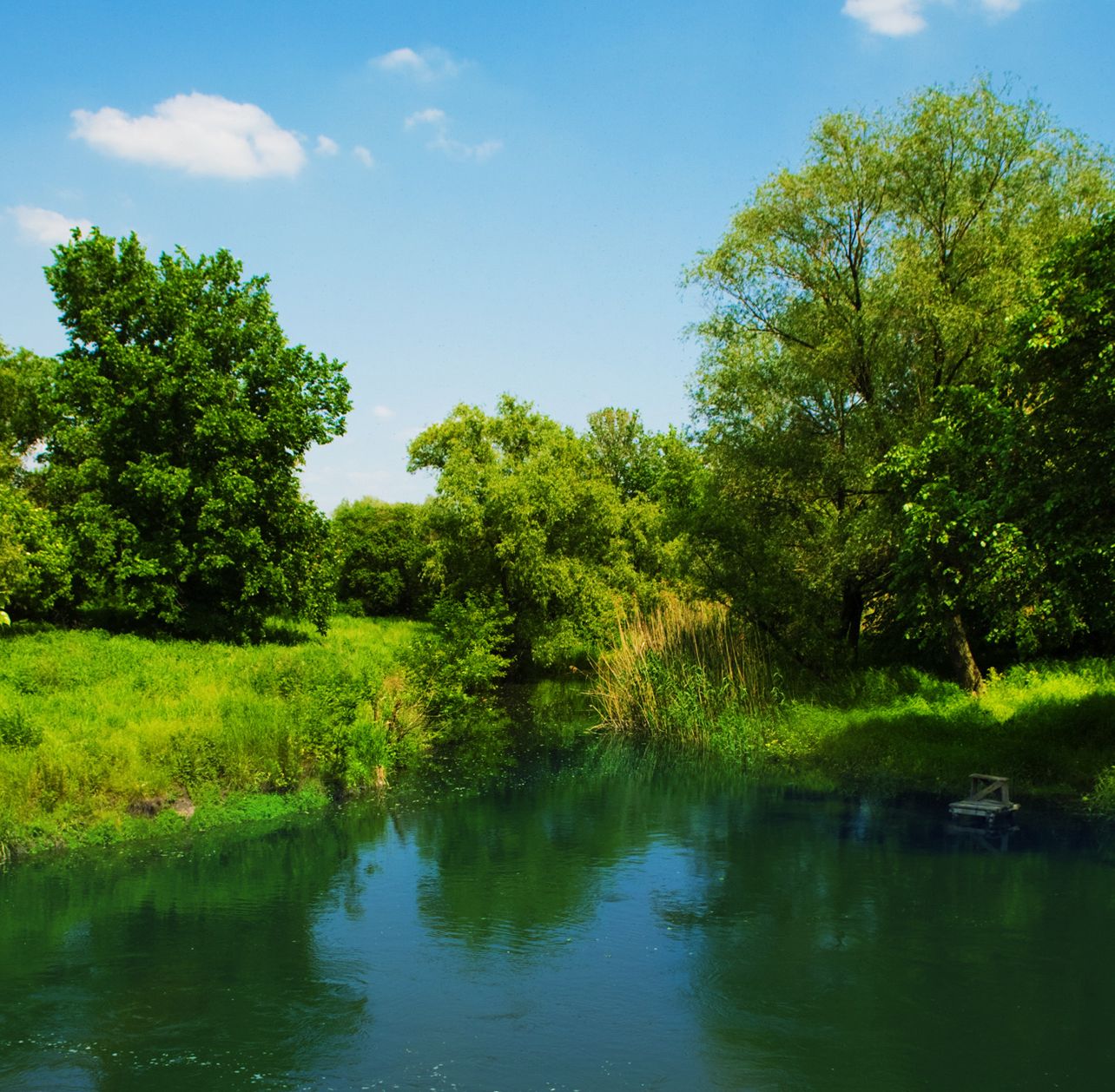 Banco de Imágenes Gratis: 6 paisajes naturales y una hermosa cascada ...