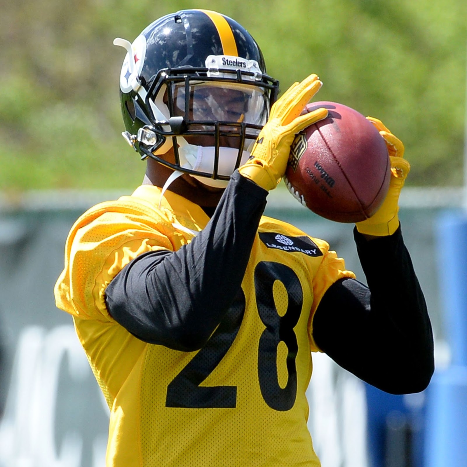 Italian Steel Curtain: Firmato Sean Davies