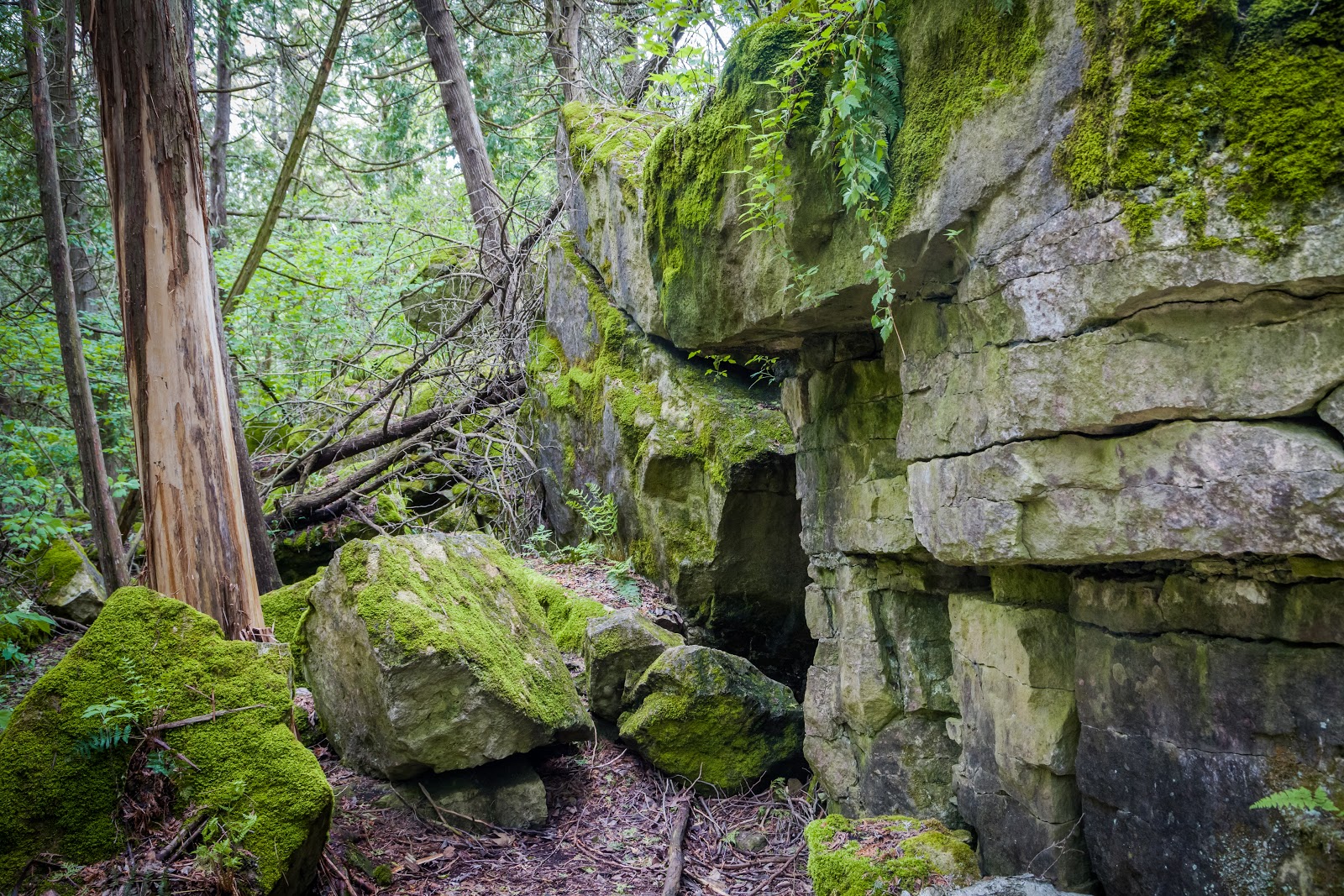 Bruce Trail in Ontario Turns 50 This Year - Let's Hike to Celebrate ...