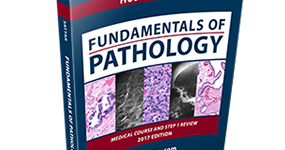 Medical World: Pathoma Lecture Videos and PDF Book