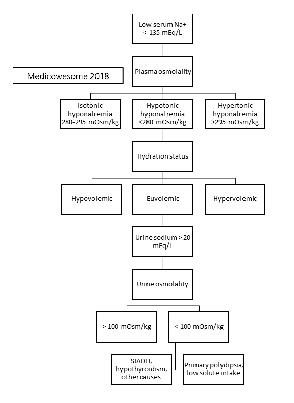 Medicowesome: Euvolemic hyponatremia algorithm