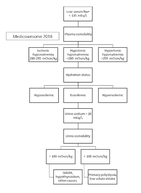Medicowesome: Euvolemic hyponatremia algorithm