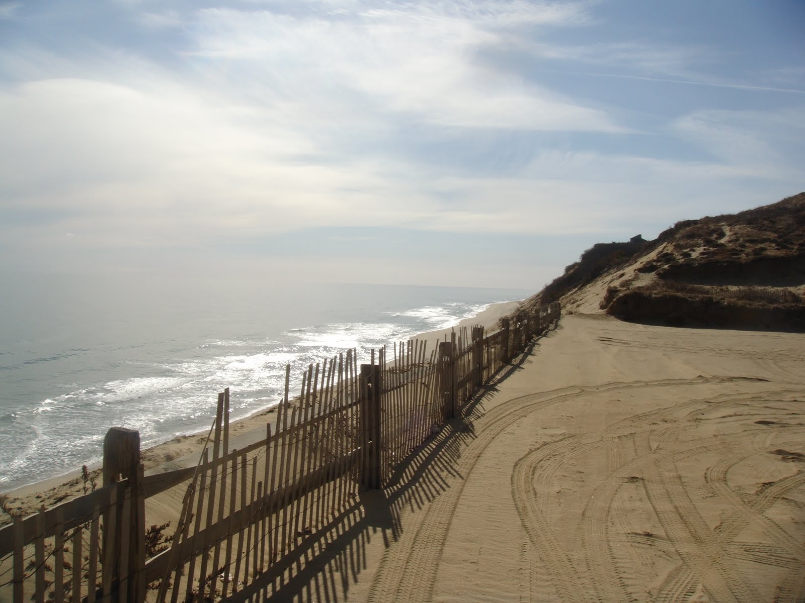 The Lollipop Tree: The Lower Cape - A Day To Remember!