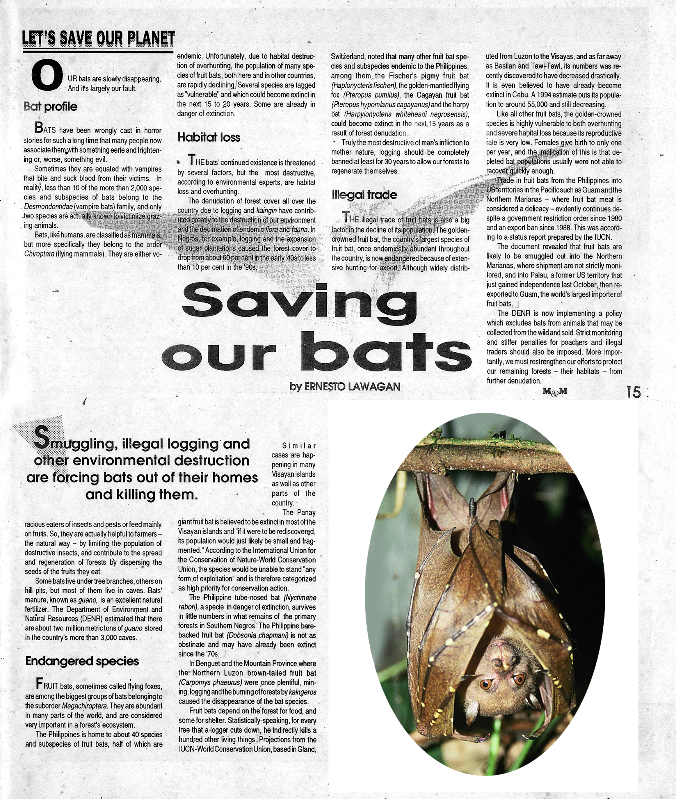 ALAM MO BA 'TO? (Do You Know This?): Let's Save Our Planet: Saving Our Bats