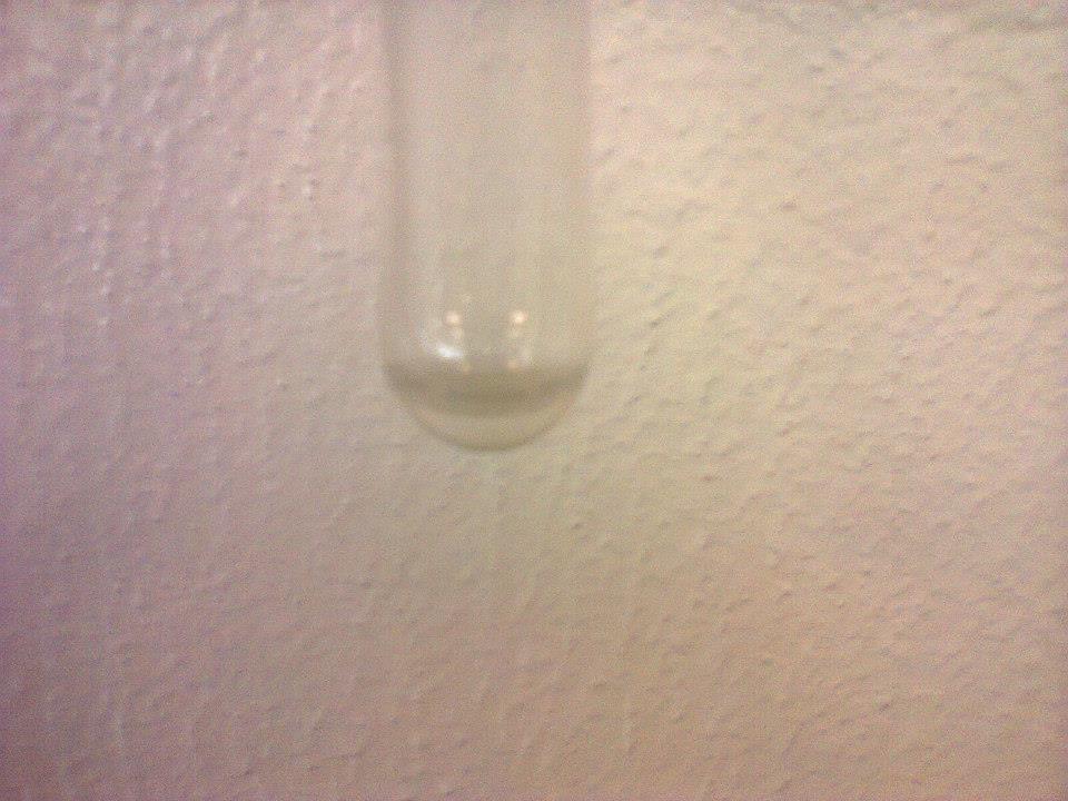 Laboratorio de Química Experimental : Práctica 11