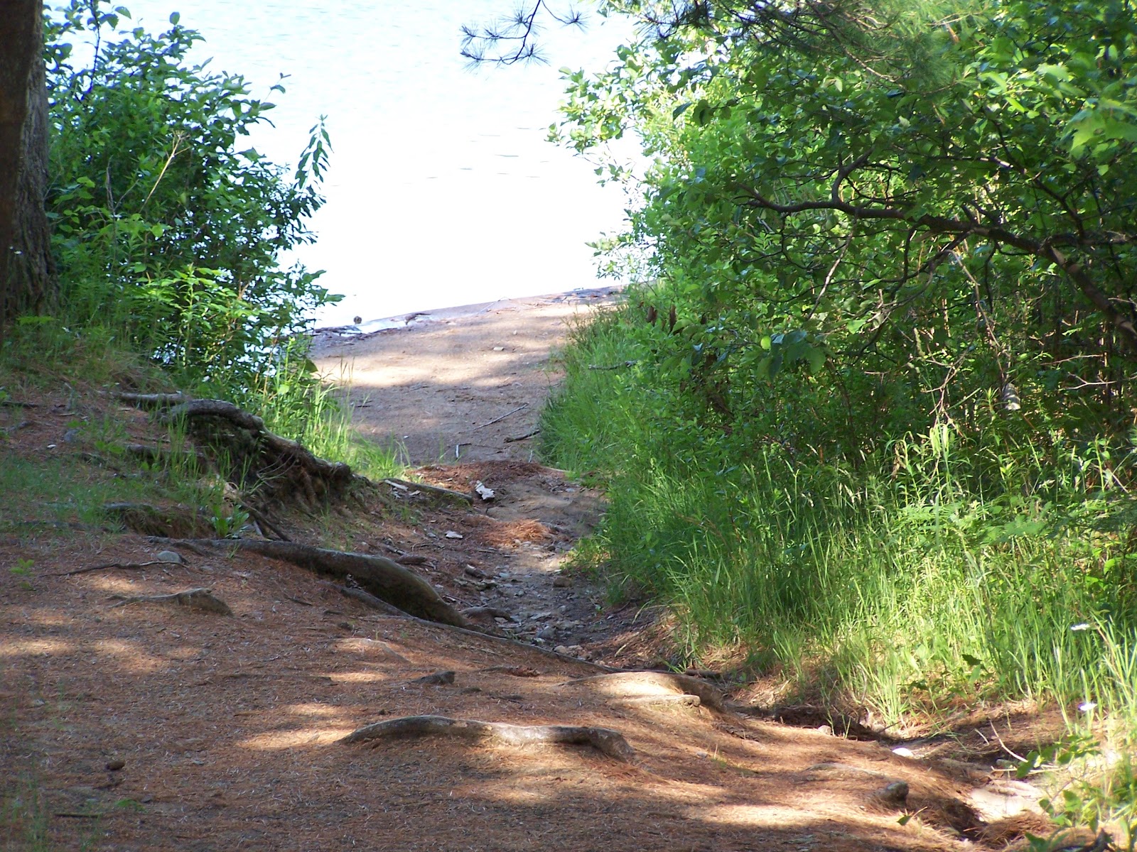 Quiet Kayaking in New York State: South Inlet, part one