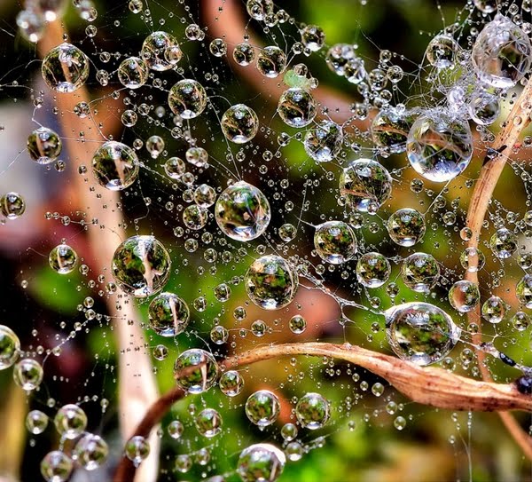 Get Images: Beautiful Colorful Raindrops