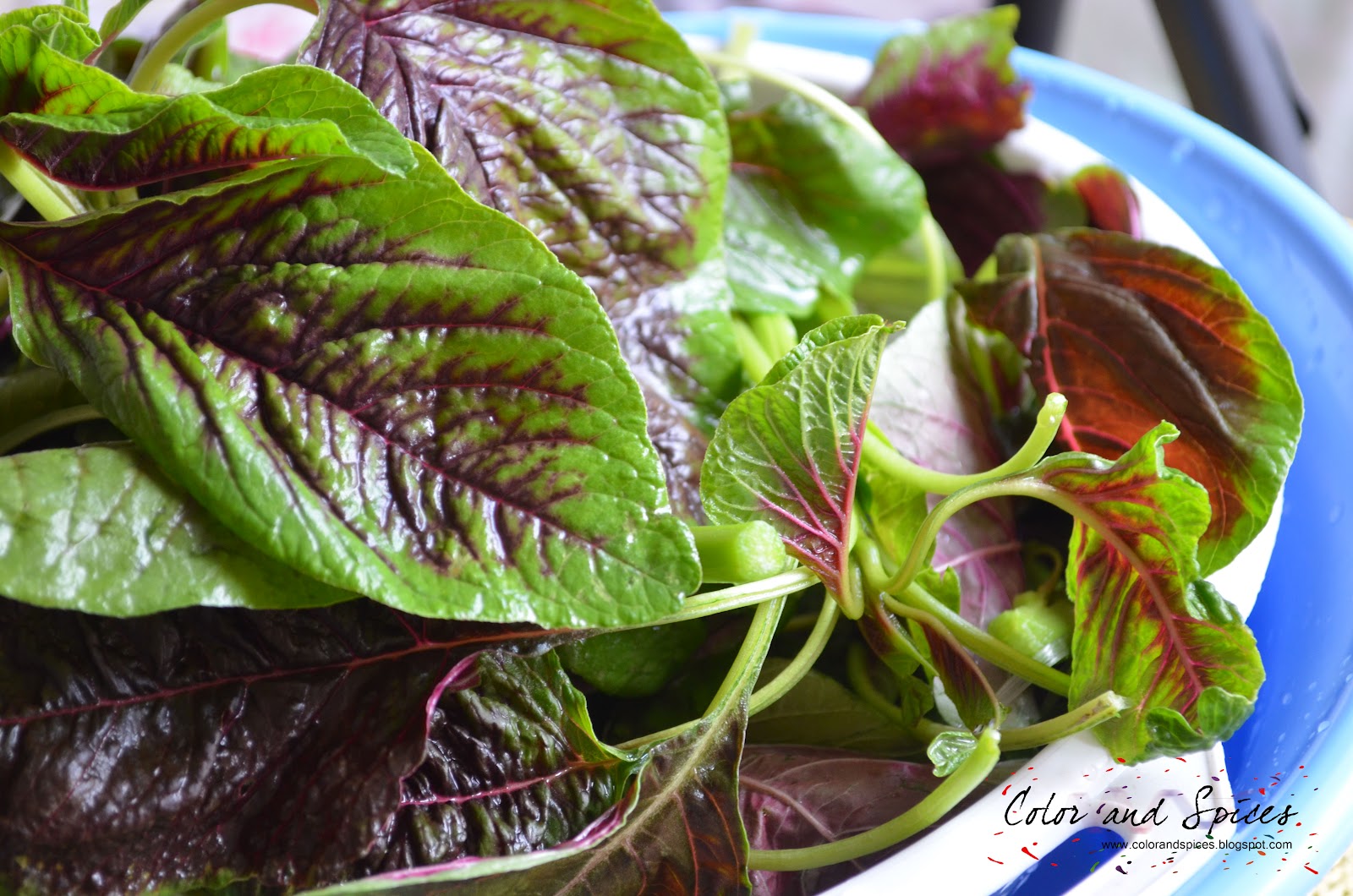 Color and Spices: Chochori~Vegetable Mishmash