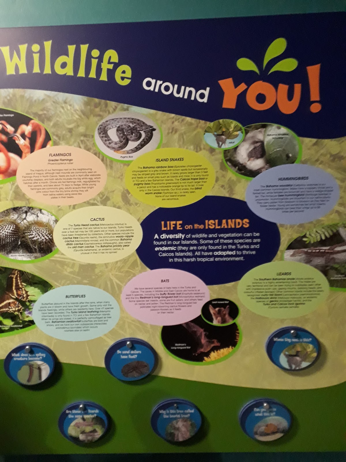 Miss Forbes Classroom: GRADE 4 INTERVENTION OSETA JOLLY PRIMARY SCHOOL ...