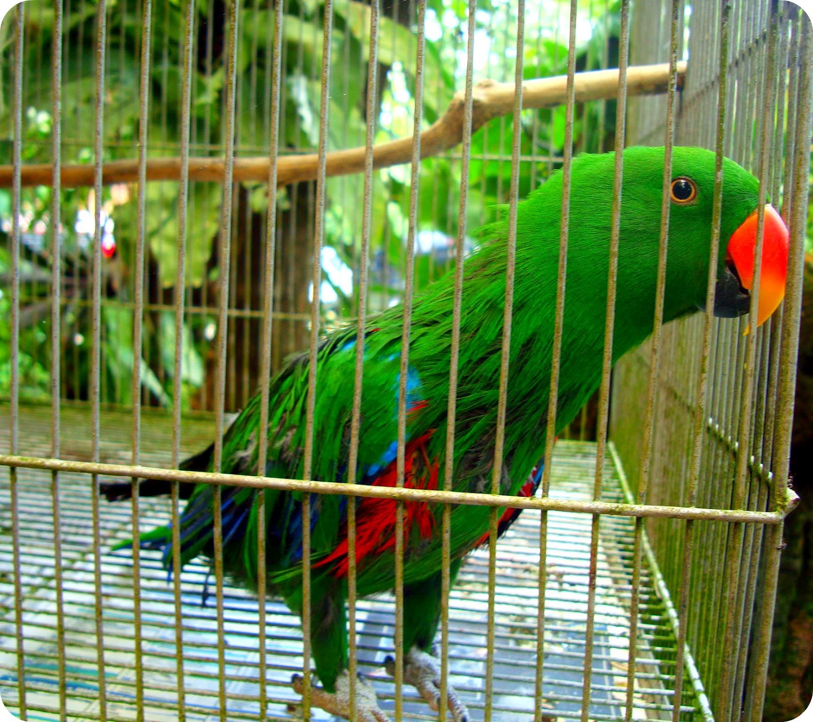 My Holy Week Getaway ~ Bargain Blabber